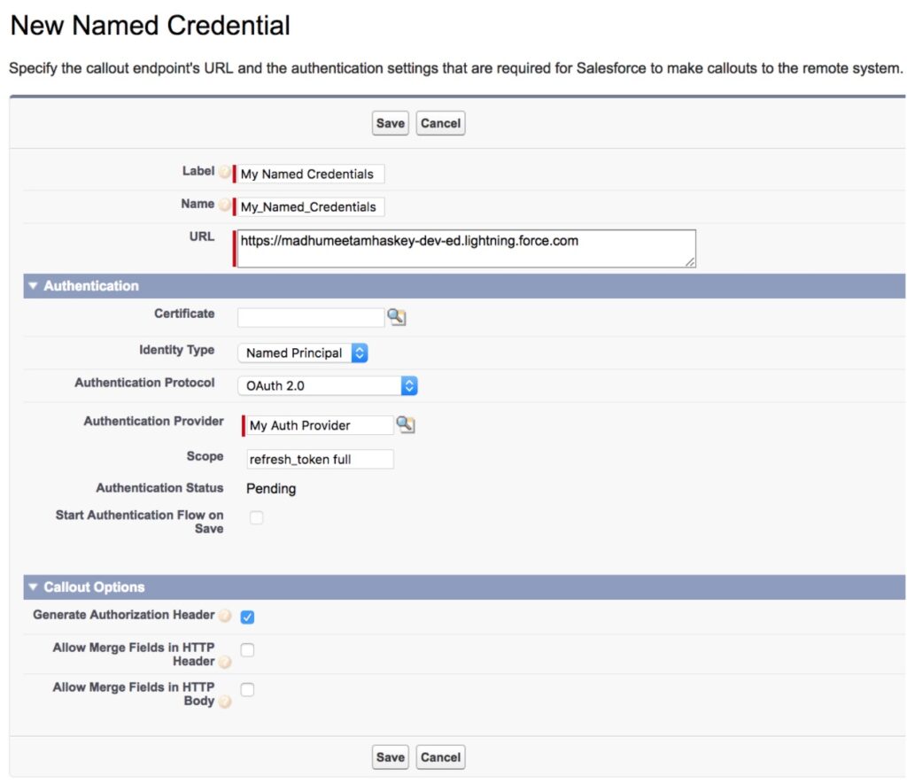 Salesforce Integration using Named Credentials - TechForce Services