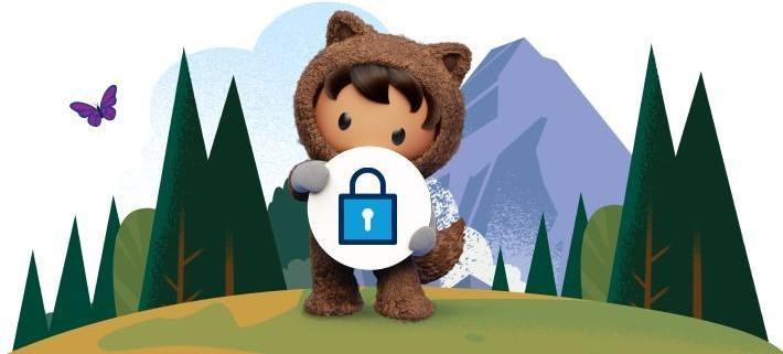 Security in Salesforce: A Comprehensive Guide