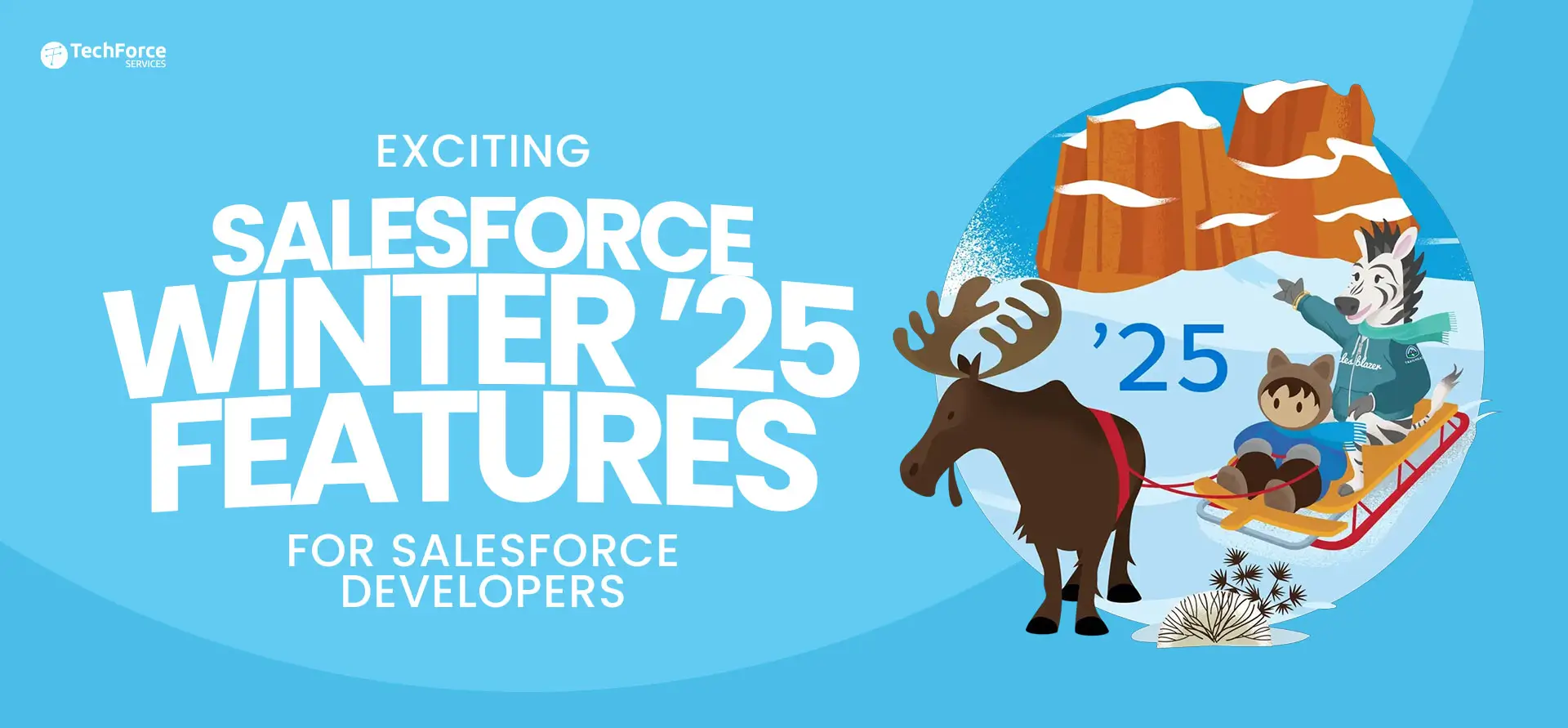 Salesforce Winter 25 Features For Salesforce Developers
