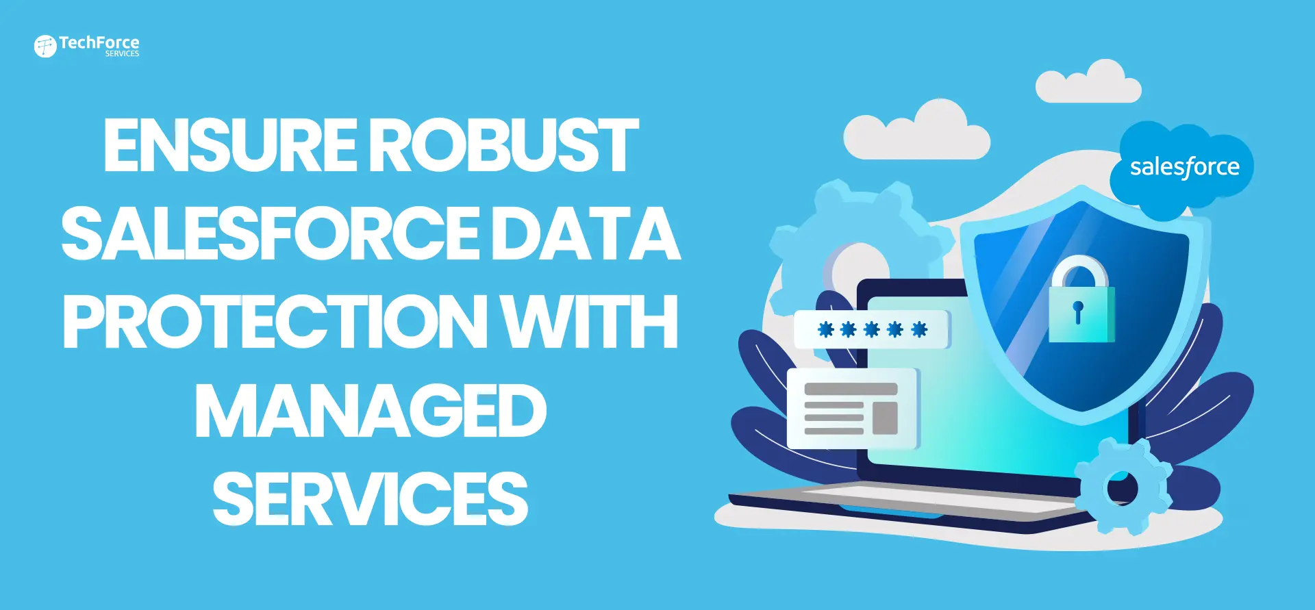 Premier Salesforce Consulting Partner in Australia, US and India