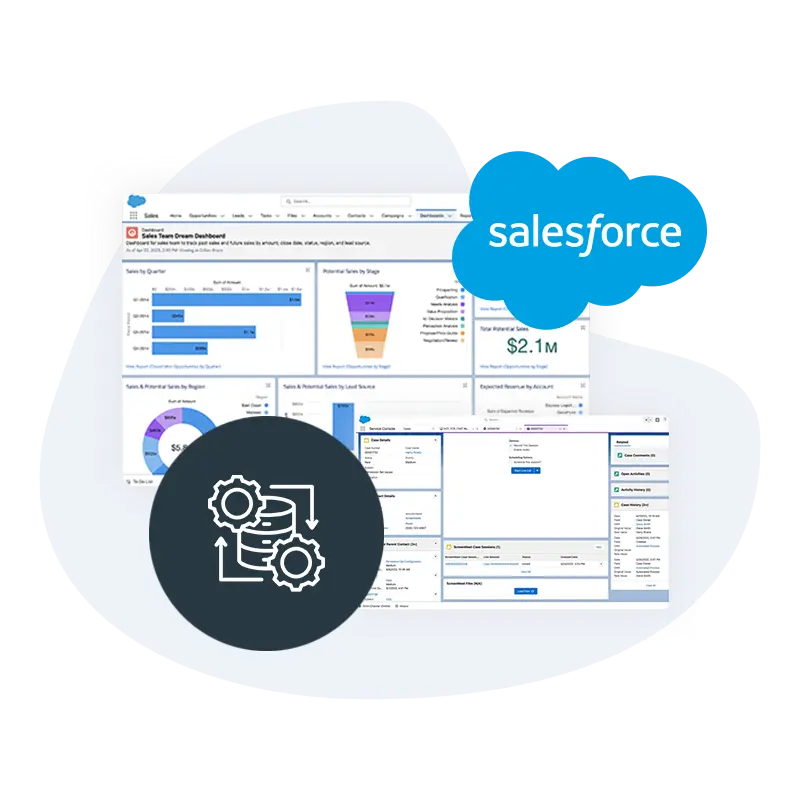 Salesforce Customization Services | 10+ Yrs Expertise