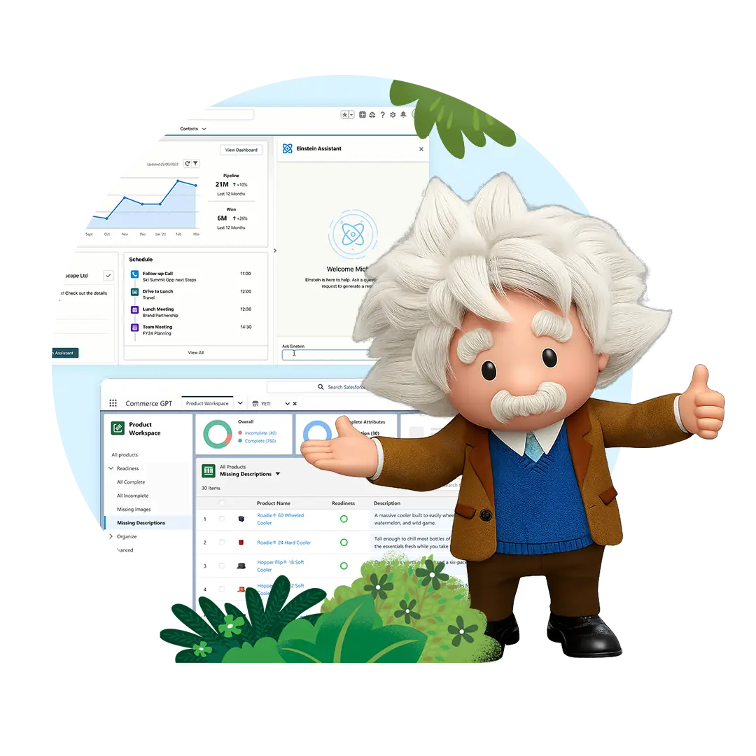 Salesforce AI Solutions | 10+ Yrs Expertise