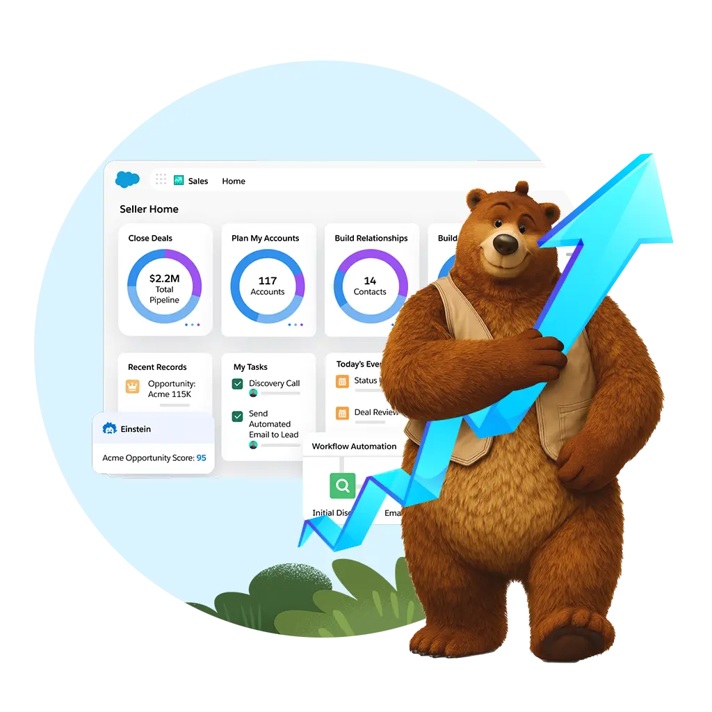 Salesforce Sales Cloud Implementation | 10+ Yrs Expertise