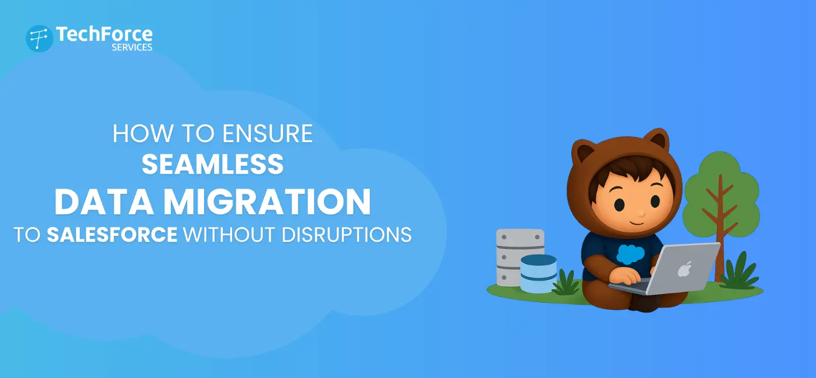 Ensure Seamless Data Migration to Salesforce Without Risks