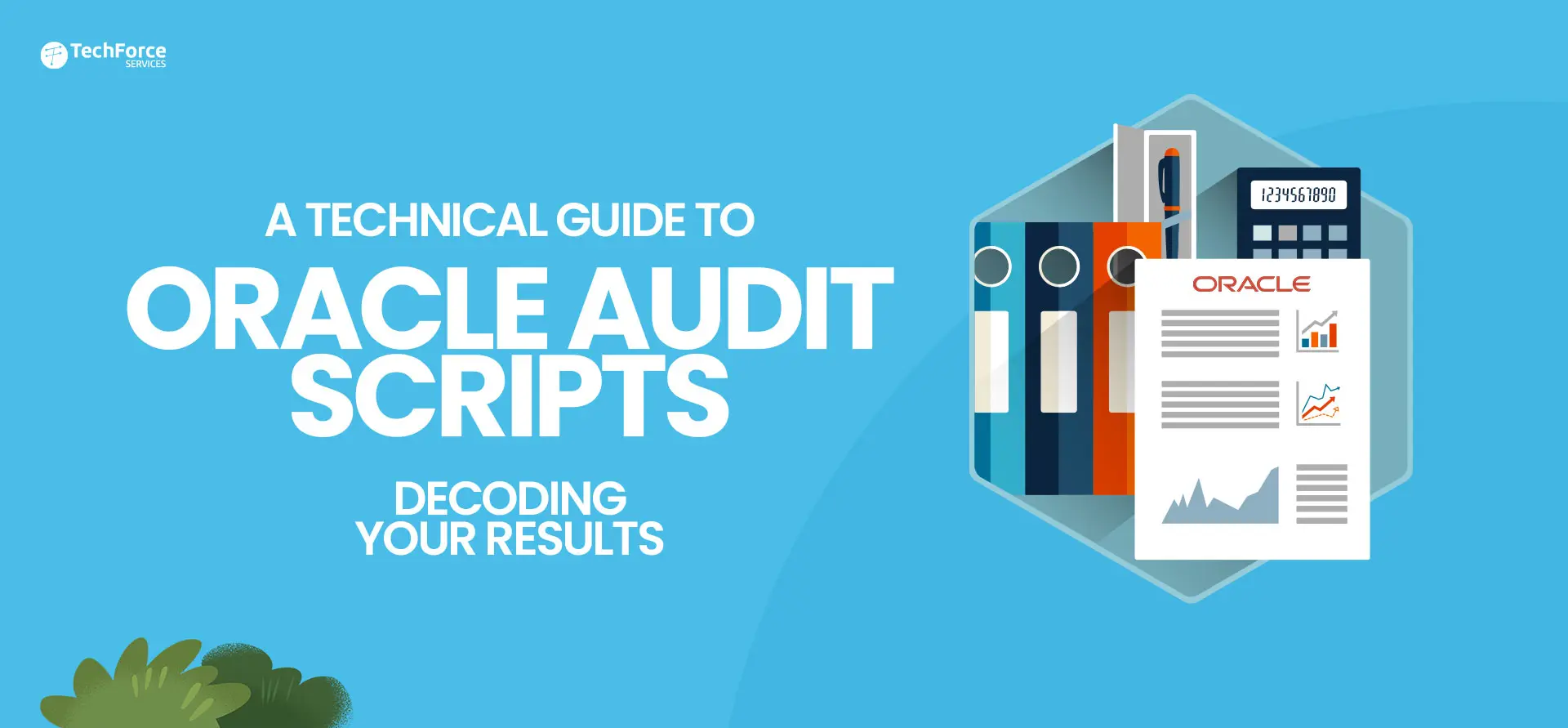 Oracle Audit Scripts: Complete Decoding Guide (2026)