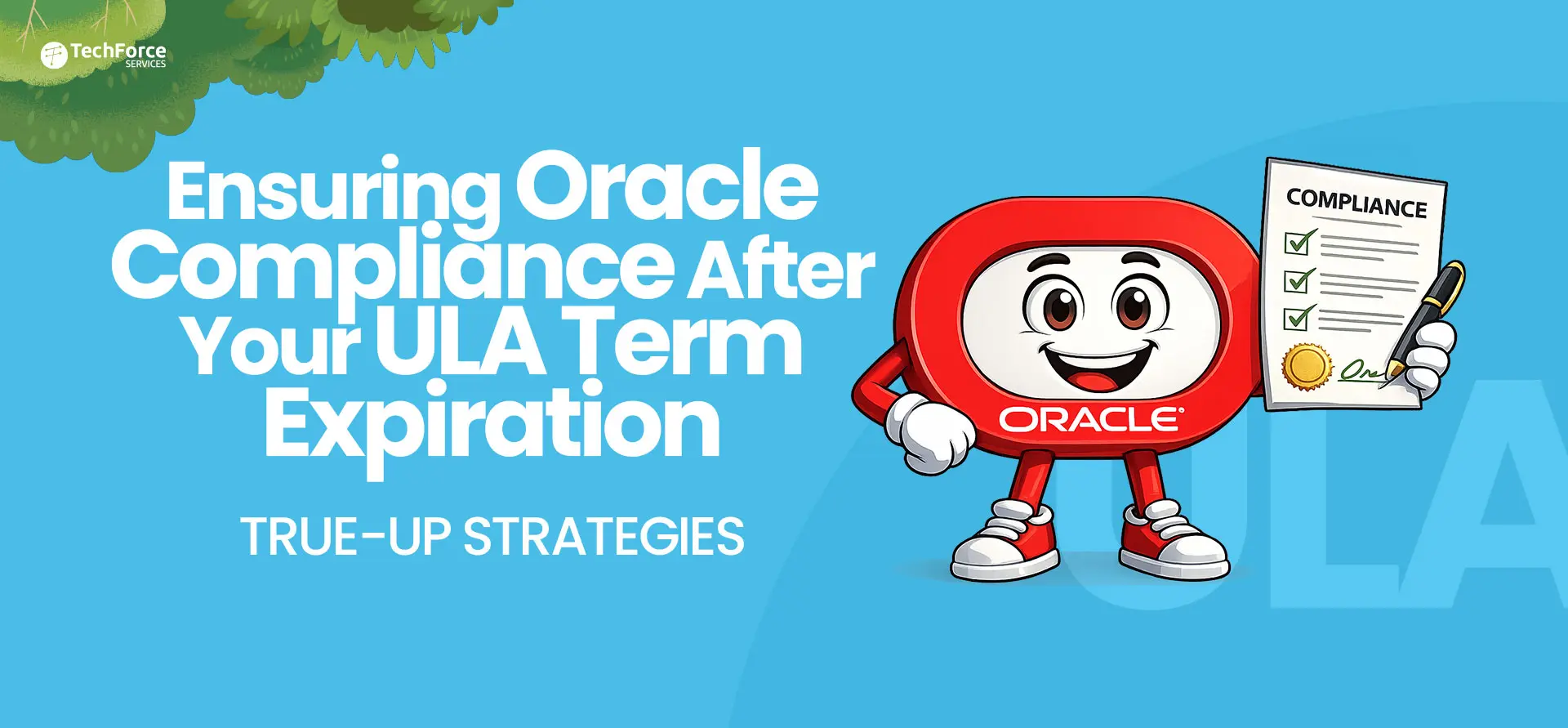 Oracle Compliance: ULA True-Up Strategies Guide